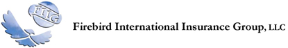 Firebird International Insurance Group | Rising Above And Beyond The ...